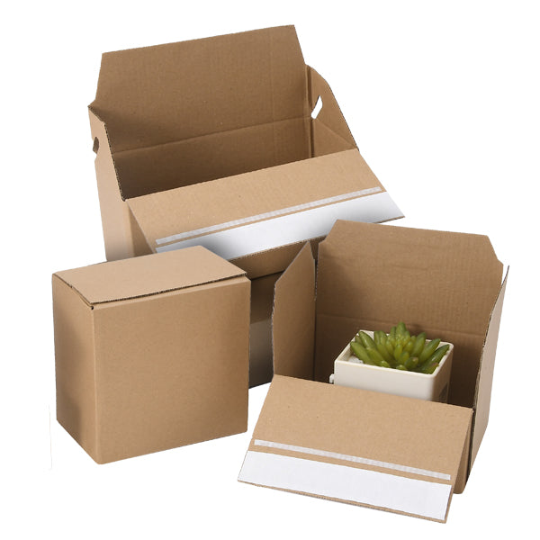 Crash Lock Box PPMX607 | Procura Pack – ProcuraPack